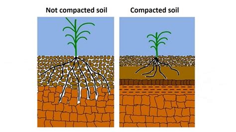 Soil compaction compaction methods price advantages and disadvantages Обои на телефон