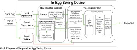 Figure From Design Of A Non Invasive Egg Sexing Device Utilizing Artificial Intelligence For