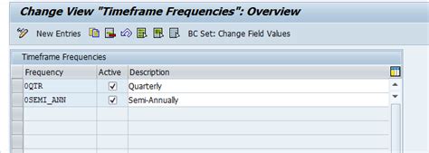 Grc 10 Process Control “test Period Date Is Invali Sap Community