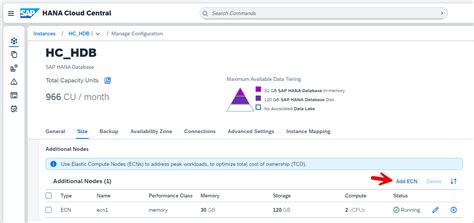 Use An Elastic Compute Node Ecn For Scheduled Workloads Sap Tutorials