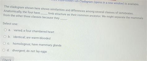 Solved Obe Linned Fish Cladogram Opens In A New Window Is Available