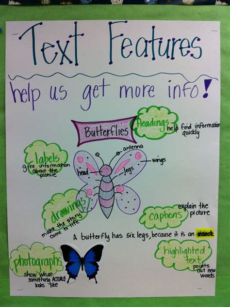 Pin By Bekah Sommers On School Literacy Grammar Text Feature