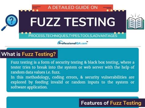 Fuzz Testing A Detailed Guide