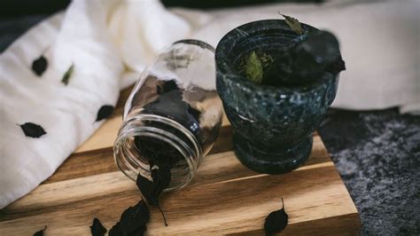 How To Harvest And Dry Basil The Rustic Elk