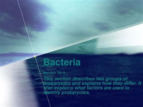 PPT Bacteria PowerPoint Presentation Free Download ID 1250512