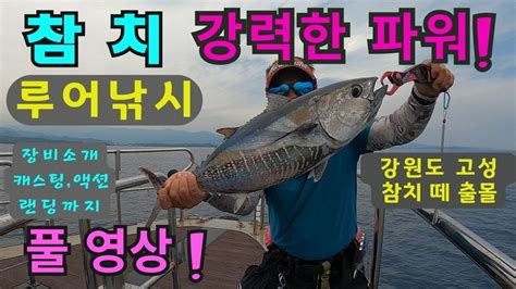 강력한 파워의 동해안 참치 루어낚시 참치 참다랑어 참치루어낚시 Youtube