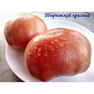 Тырновский красный