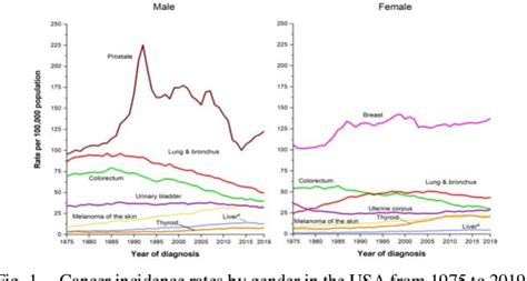 Figure 1 From Lung Cancer Detection Using Segmented 3d Tensors And Support Vector Machines