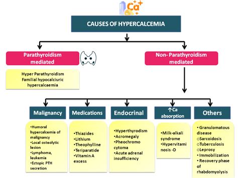 Hypercalcemia How To Approach