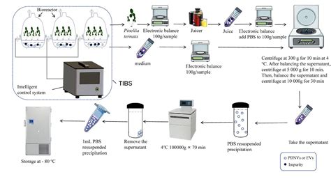 Physiologia Can Bioreactors Unlock The Future Of Plant Based