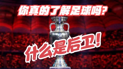 后卫 足球运动比赛队员的位置名称 搜狗百科