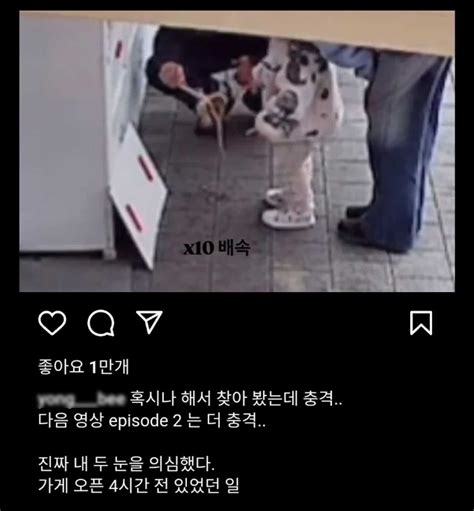 지금 횟집 사장님 두 눈을 의심케 한 수족관 촉감 빌런 Facebook