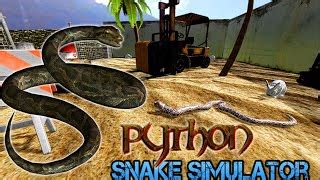 PYTHON SNAKE SIMULATOR Free Online Game On Miniplay