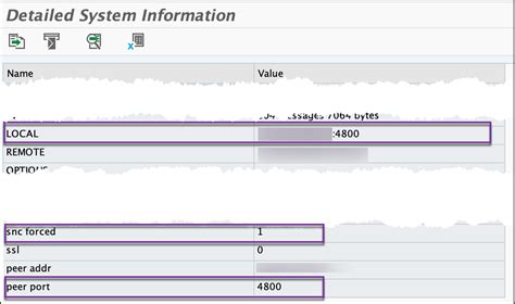 Article Setup Sap Jco V2 Connector And Boomi Runtime With Sap Snc Part