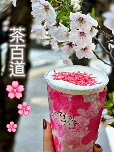 차백도 코리아 💐 차백도 사랑 가득한 발렌타인데이 🌹 이번 발렌타인데이를 맞아 차백도 매장이 로맨틱한 🌹장미로 물들었습니다 사랑하는 사람과 함께 차백도에서 달콤한