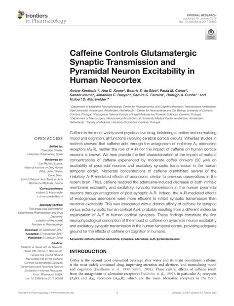 Pdf Caffeine Controls Glutamatergic Synaptic Transmission And Pyramidal Neuron Excitability In