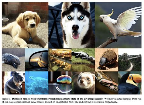 基于transformer的可扩展扩散模型 智源社区
