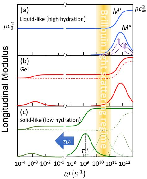 Schematic Diagram Of The Dispersion In Longitudinal Storage Modulus í