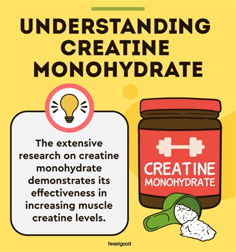 Creatine Monohydrate Vs Hcl Which Is Better Pros Cons Feastgood Com