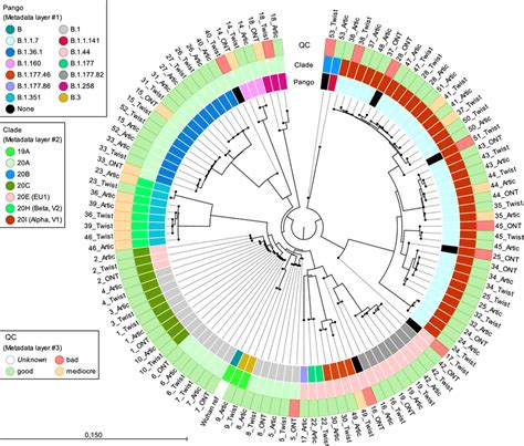 Neighbour Joining Tree From Whole Genome Comparison Of Consensus