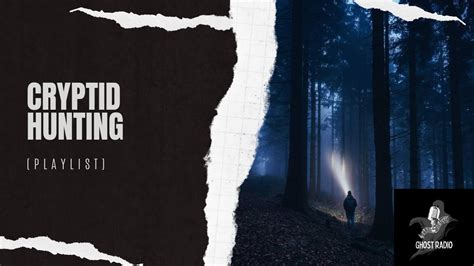 Pov Youre Hunting Cryptids In The Forest Playlist Youtube