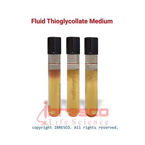 Fluid Thioglycollate Medium Ibresco