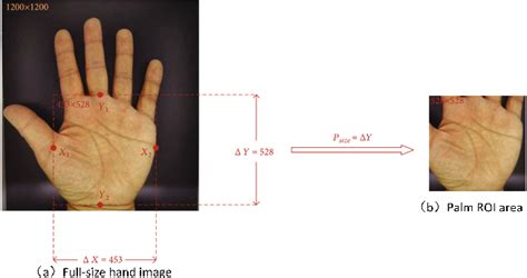 Figure 2 From Two Domain Adaptive Attention Network For Tcm Auxiliary Diagnosis With Hand Images