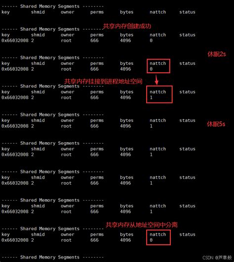 Linux 共享内存（2）ipcrm M Csdn博客