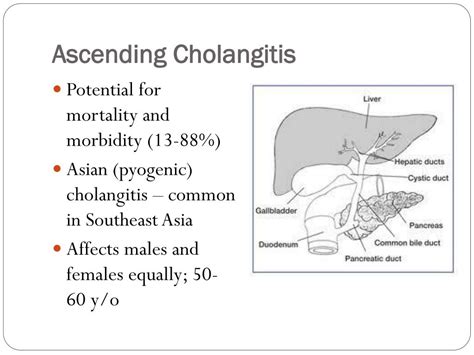 Ascending Cholangitis 中文 Tokyo Guidelines Cholangitis Bamzall