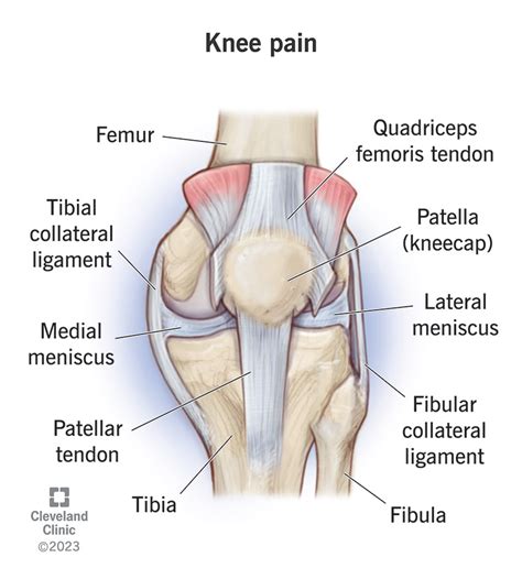 Knee Pain Cause Ask The Nurse Expert