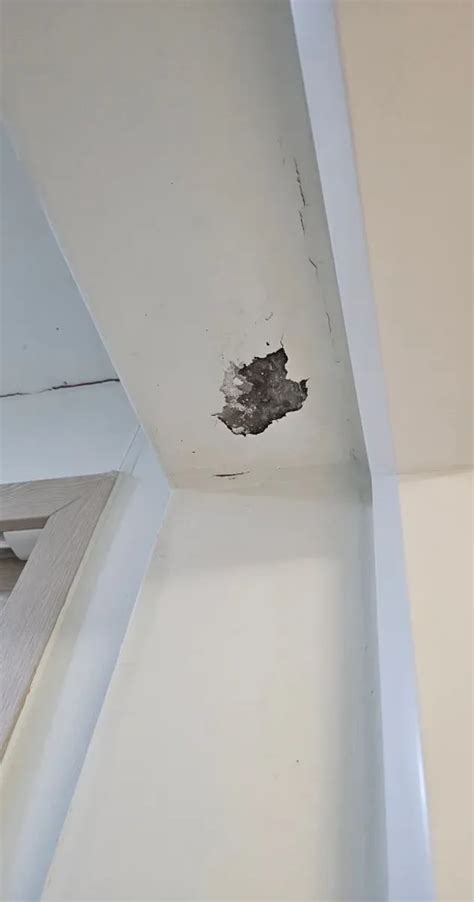 친절하고 꼼꼼하게 처리해주셨습니다 관리법까지 상세하게 잘 알려주셔서 좋았습니다 숨고 숨은고수