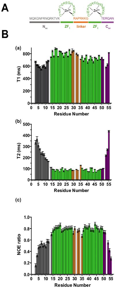 A Sequence Of The Hiv 1 Nucleocapsid Protein Nl4 3 B Experimental 15 Download High
