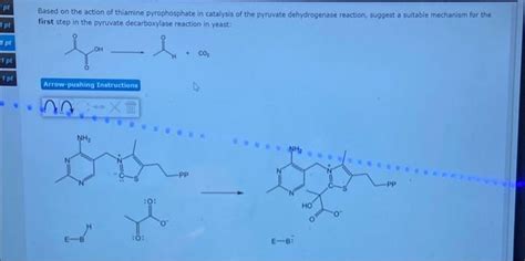 Solved Based On The Action Of Thiamine Pyrophosphate In