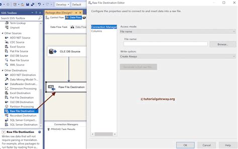 Ssis Raw File Destination