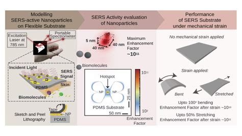 Flexible Stretchable And Single Molecule Sensitive Sers Active Sensor For Wearable Biosensing