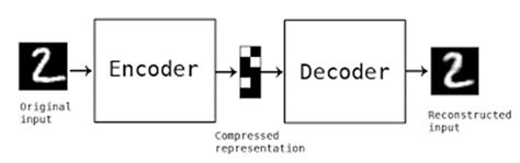 Unveiling The Power Of Sparse Autoencoders Unraveling Data Representations By