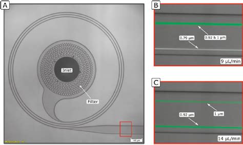 Figure From Microfluidics For High Pressure Inertial Focusing Focusing Separation And