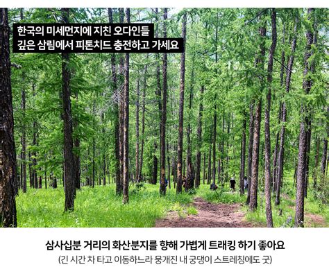 홉스골투어 5박6일