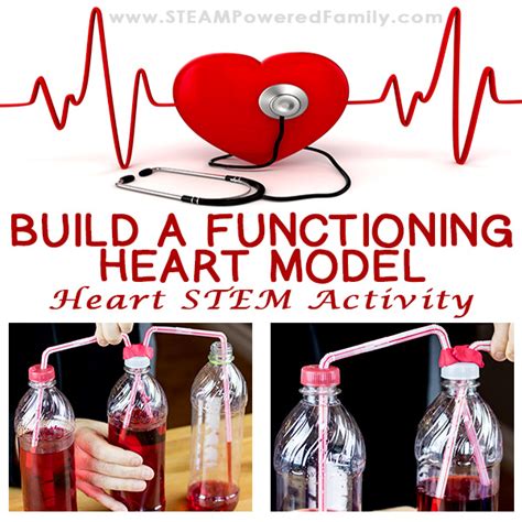 How To Prepare For The Science Fair Plus Over 40 Project Ideas By Grade