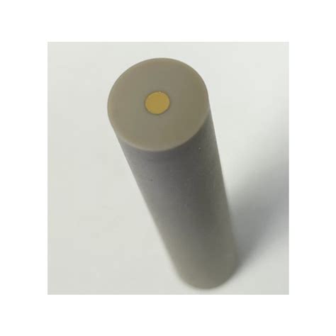 Rotating Disk Electrode Rde Gold Au