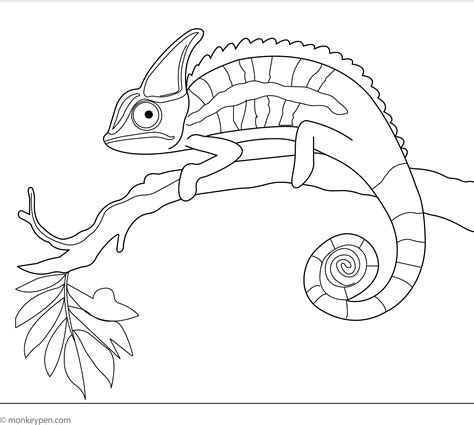 Free Chameleon Coloring Pages Printable Reptile Fun