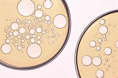 Leading Ivf Fertility Clinic Ivy Fertility