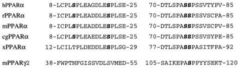 Sequence Alignment Of The Amino Terminus Of Ppar Across Species