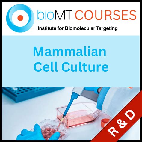 Mammalian Cell Culture R And D Institute For Biomolecular Targeting
