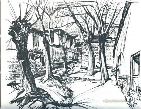 کروکی های هوشنگ سیحون کوچه ای در رودک پایگاه علمی سعید سان