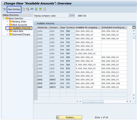 Sap Fico Automatic Payment Program