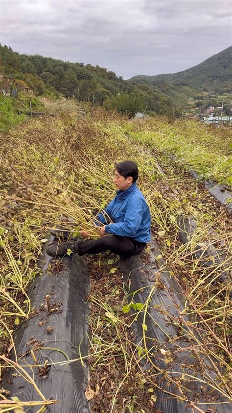미광 방앗간 국산참기름 국산들기름 답례품 돌답례품 결혼답례품 상견례선물 명절선물 참기름답례품 안녕하세요 미광입니다 남은 2024년은 어떻게 지내고들 계신가요