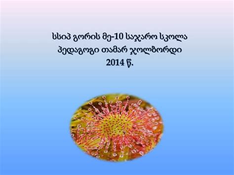 ყვავილოვანი მცენარეები Pptx