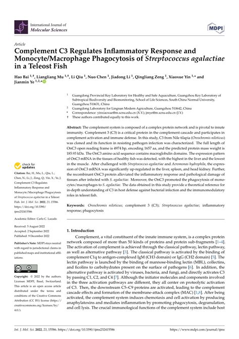 Pdf Complement C3 Regulates Inflammatory Response And Monocyte Macrophage Phagocytosis Of