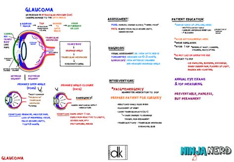 Nursing Pathology 005 Glaucoma Nclex Illustrations Key Pdf